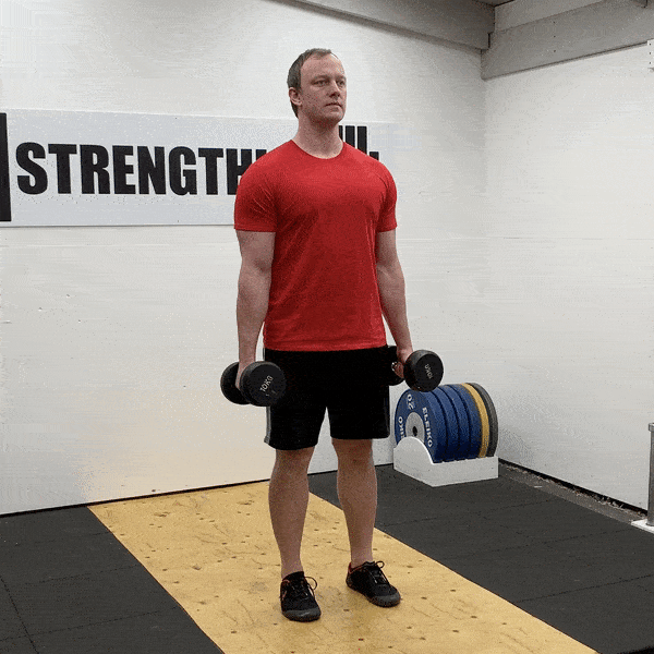 Hammarcurl - Styrkelabbet