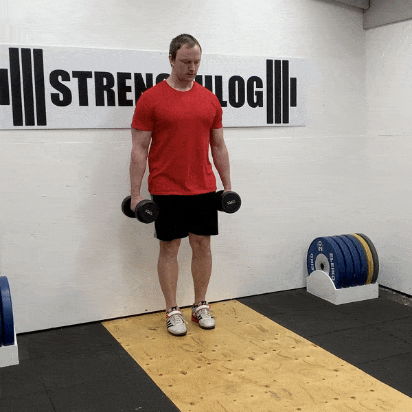 Utfall med hantlar - Styrkelabbet