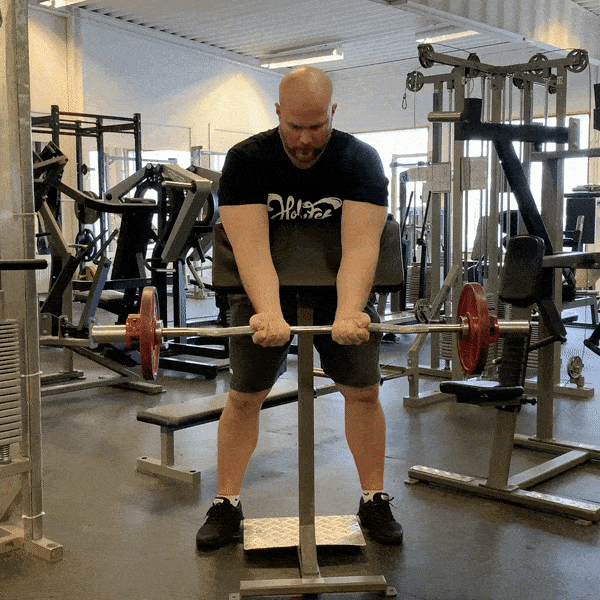 Preachercurl med skivstång - Styrkelabbet